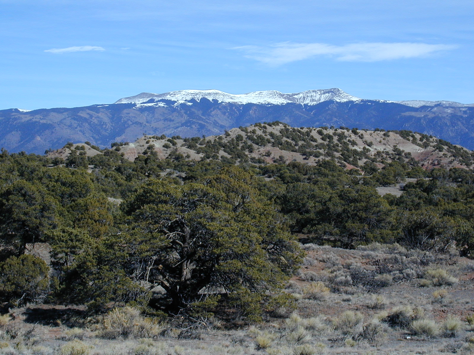 Southern Colorado Land for Sale By Owner
